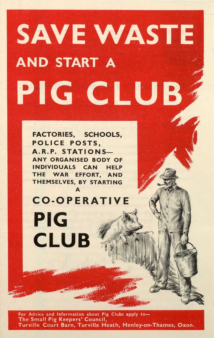 Pig club poster, c 1940 | ScotlandsPeople
