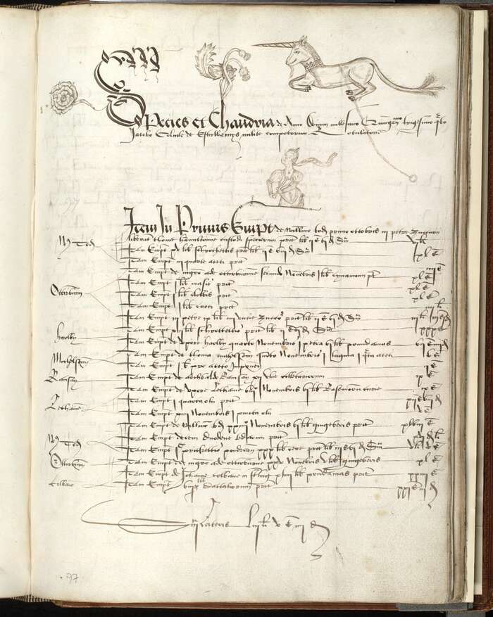 Household account book of James V | ScotlandsPeople
